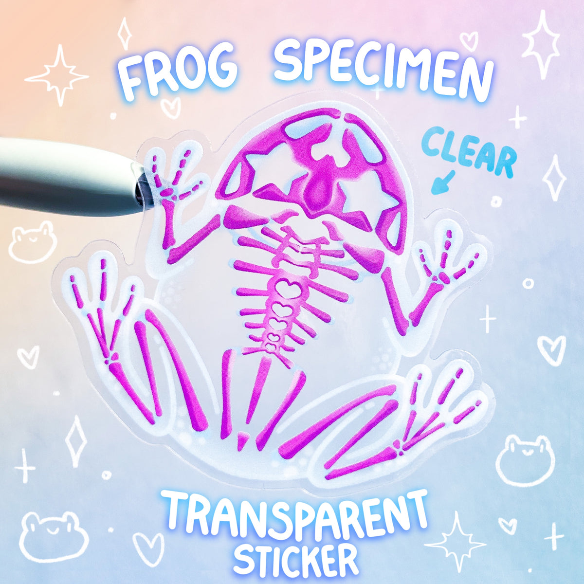 Frog Specimen Clear Waterproof Vinyl Sticker – Starmint Art