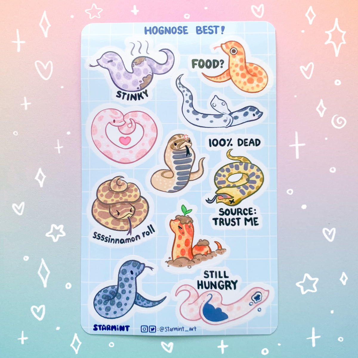 Hognose Best Waterproof Sticker Sheet – Starmint Art