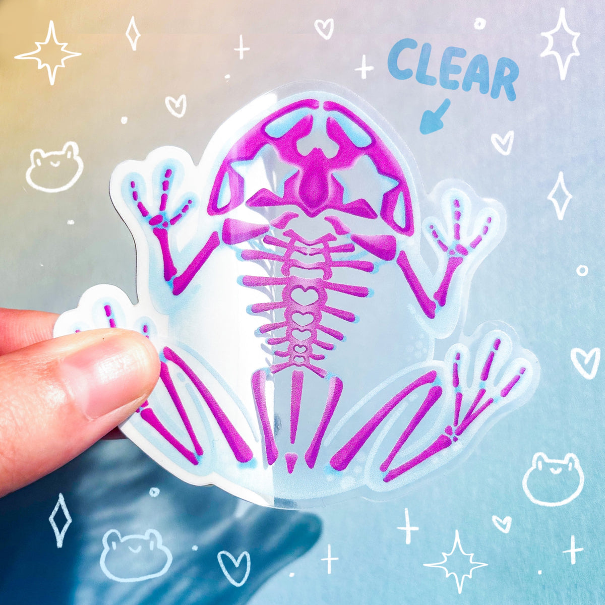 Frog Specimen Clear Waterproof Vinyl Sticker – Starmint Art